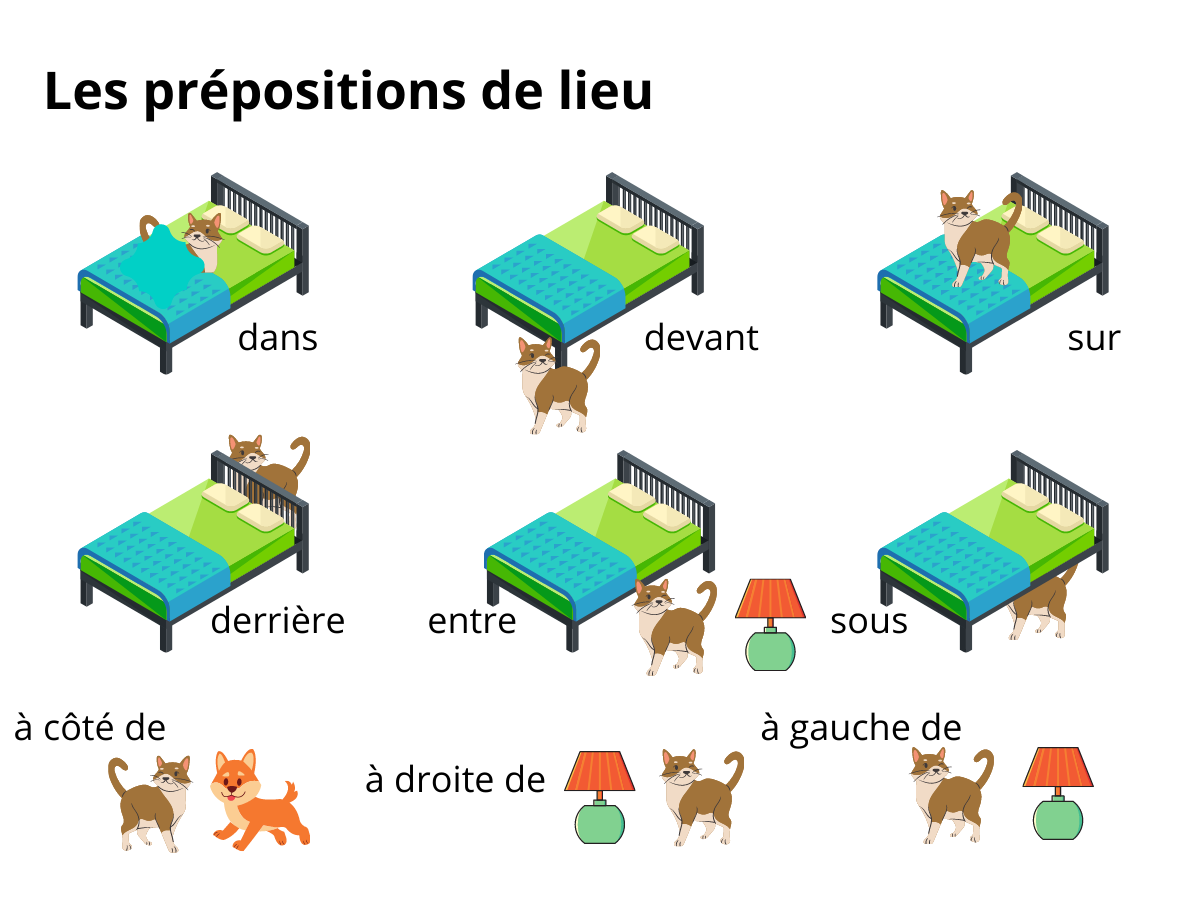 Les prépositions de lieu (suite) - digiSchool