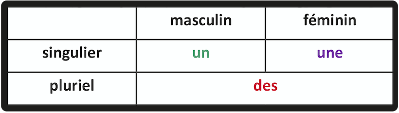Les articles définis et indéfinis (suite) - digiSchool