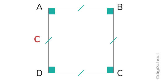 Le périmètre du carré et du rectangle - Maths en CM2