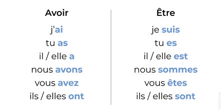 Les verbes être et avoir au présent - digiSchool